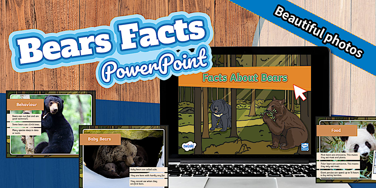 Facts About Bears PowerPoint