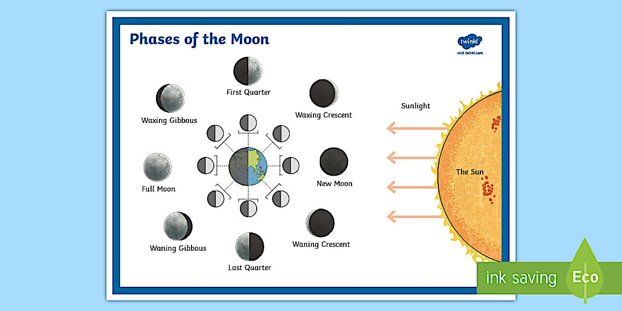 Moon Phases Poster | Earth and Space | KS2 (teacher made)