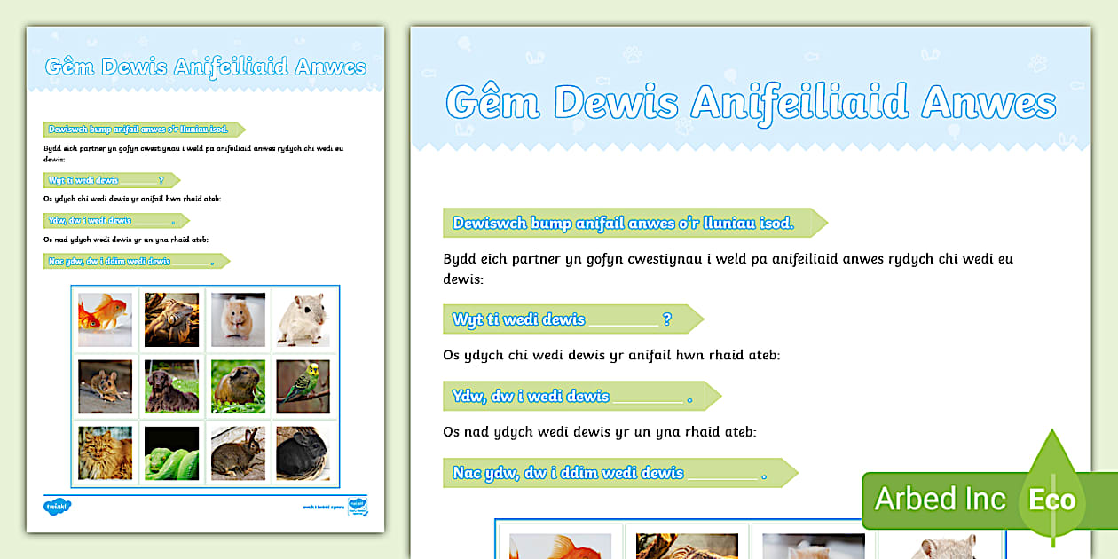Gêm Dewis Anifeiliaid Anwes (teacher made) - Twinkl