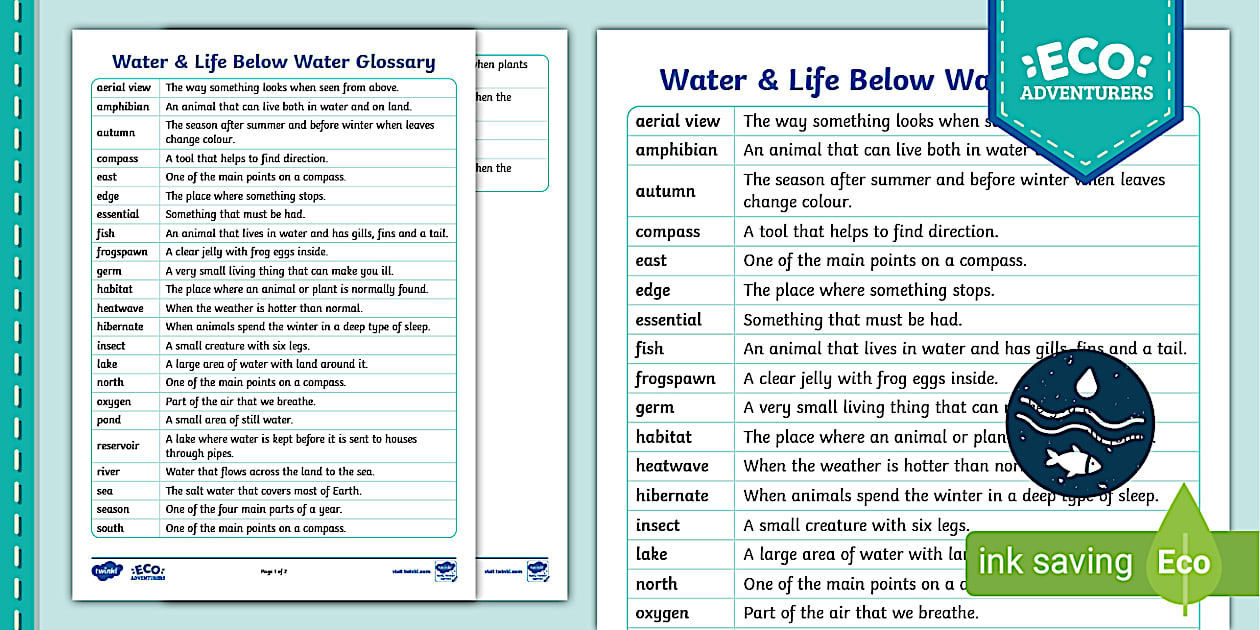 Year 1 Water & Life Below Water Glossary (teacher made)
