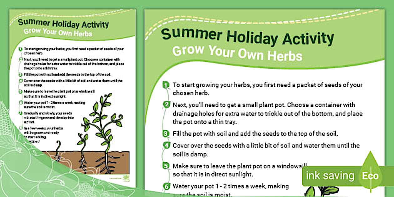 Grow Your Own Herbs - Summer Holiday Activity | Twinkl Yum