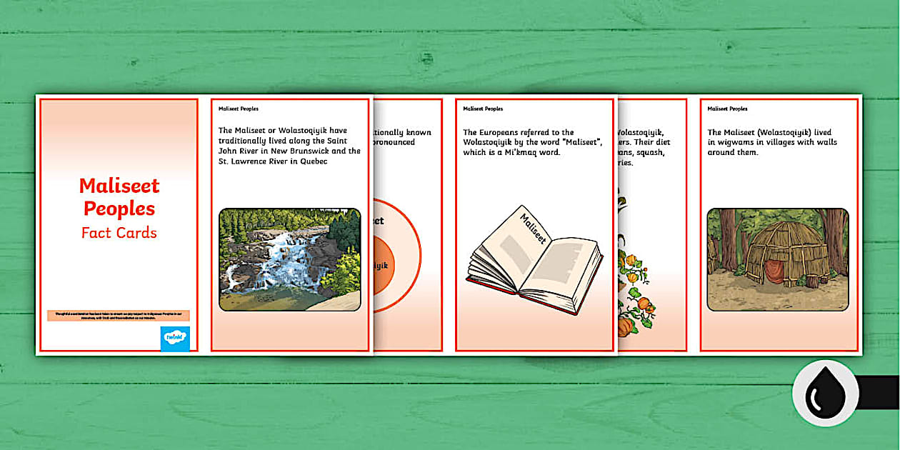 FREE! - Maliseet Fact Cards (teacher made) - Twinkl