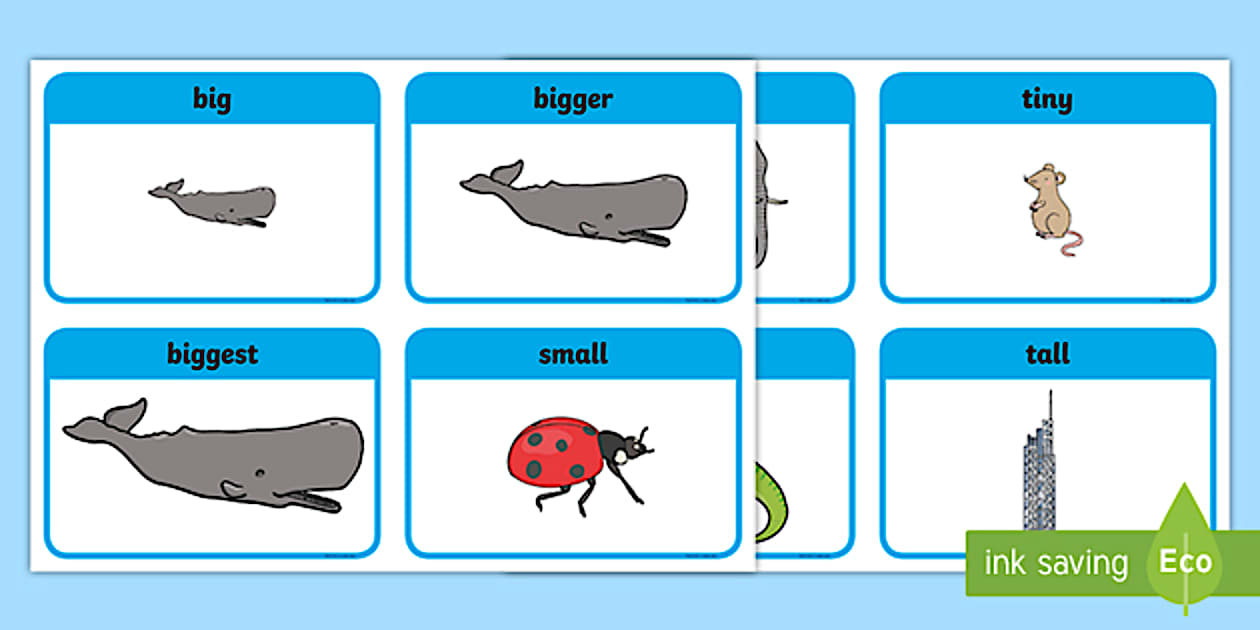 Size Word Cards (teacher made) - Twinkl