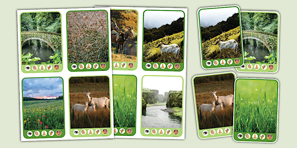 The Three Billy Goats Gruff Story Setting Photo Prompt Cards