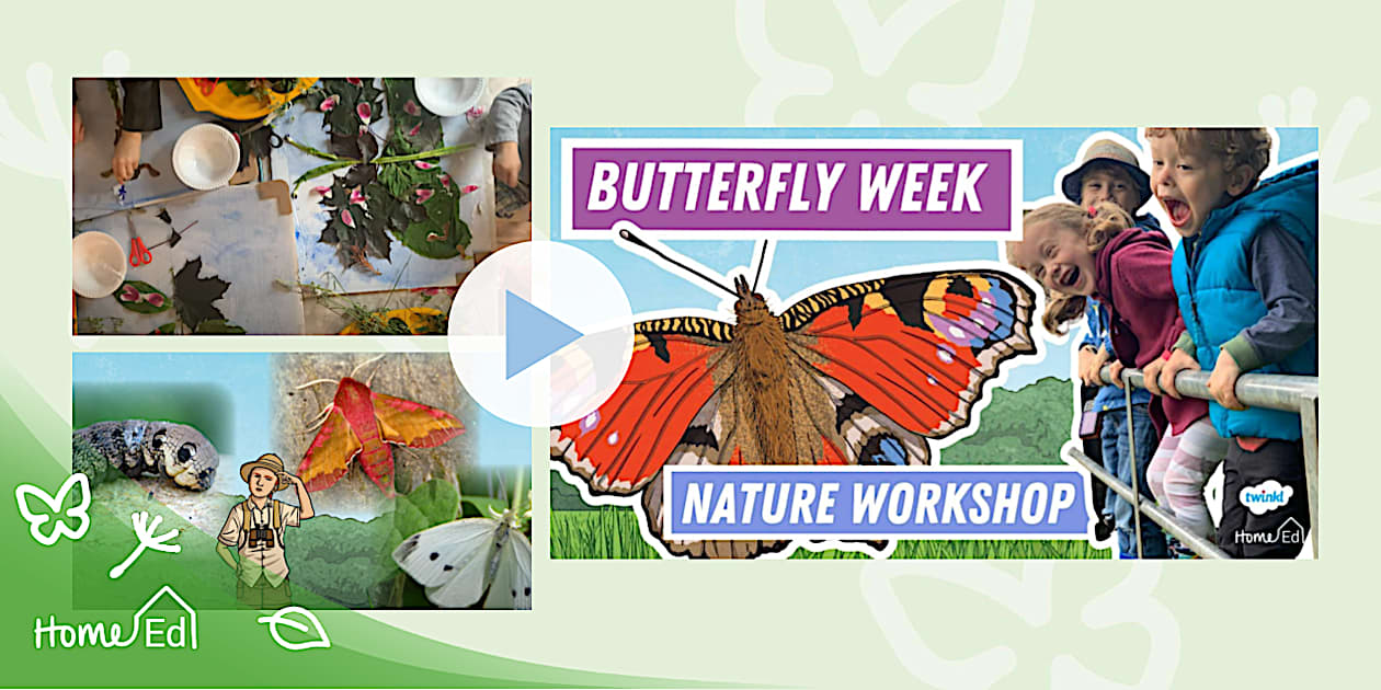 Butterfly Week: Nature Workshop Video (teacher made)