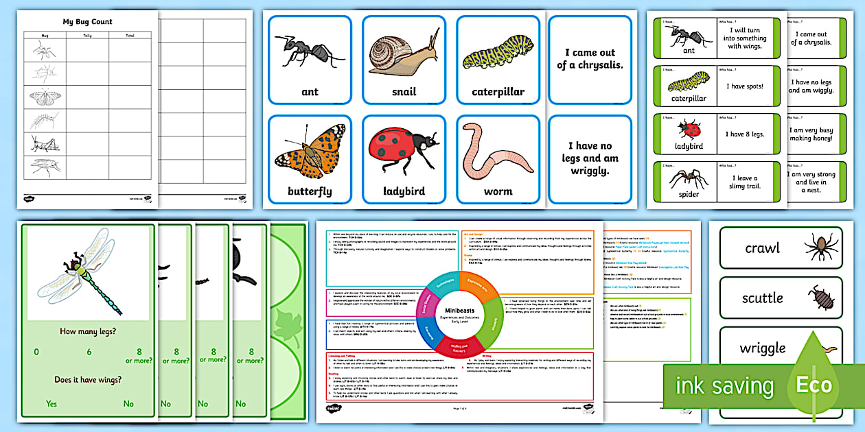 CfE Minibeasts Early Level IDL Resource Pack (teacher made)