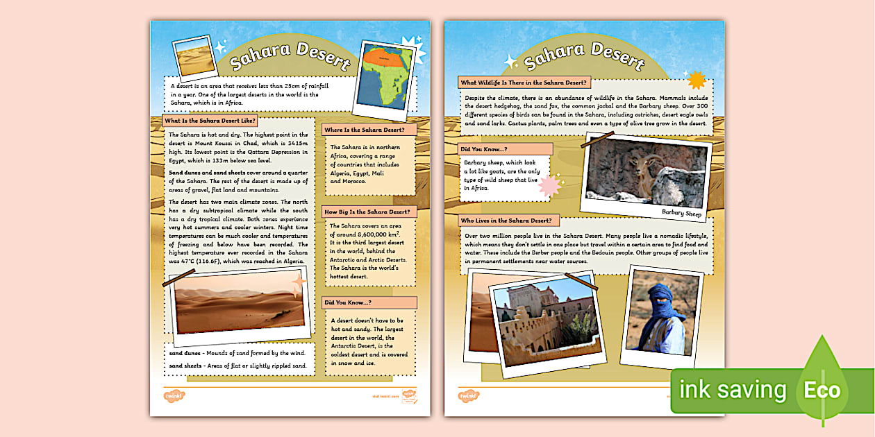 All About the Sahara Desert Fact File (teacher made)