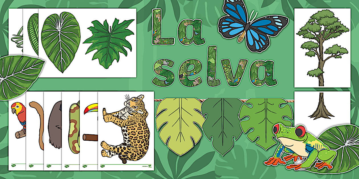 Decoración y exposición de la región de la selva peruana