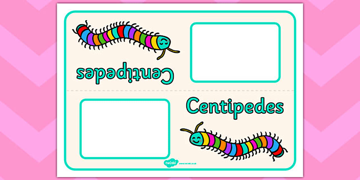 👉 Centipedes Table Signs