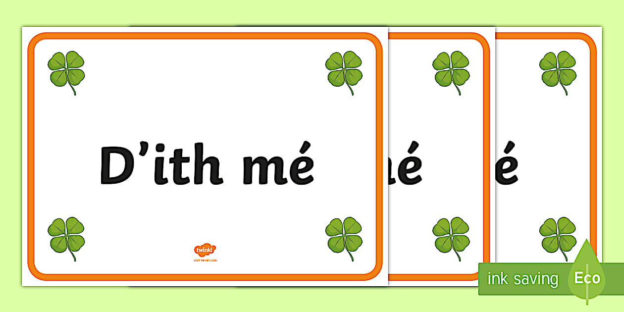 Irish Verbs Sheet | Past Tense Verbs in Gaeilge - Twinkl