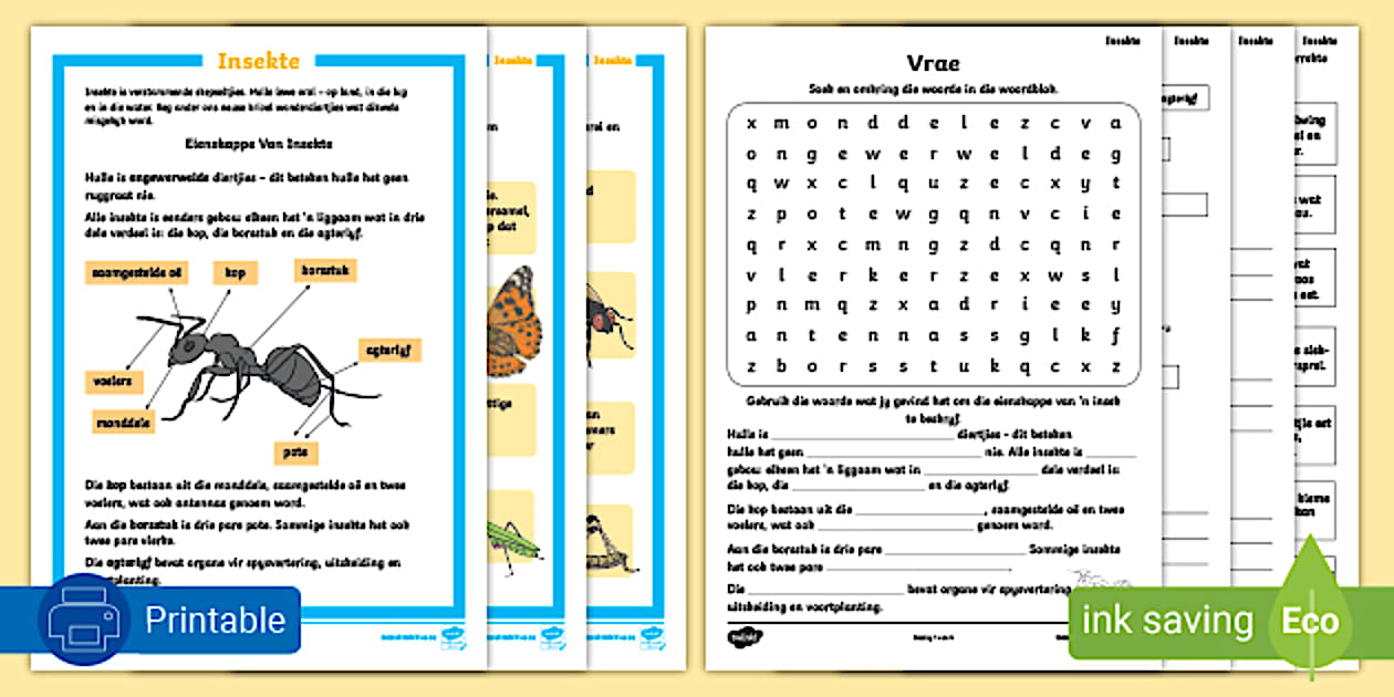 Insekte - Begripslees / Begripstoets Aktiwiteit