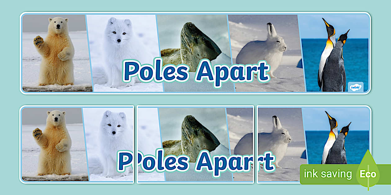 Poles Apart Photo Display Banner (Teacher-Made) - Twinkl