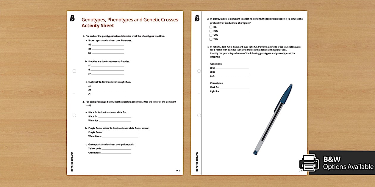 Genotypes, Phenotypes and Genetic Crosses Activity Sheet