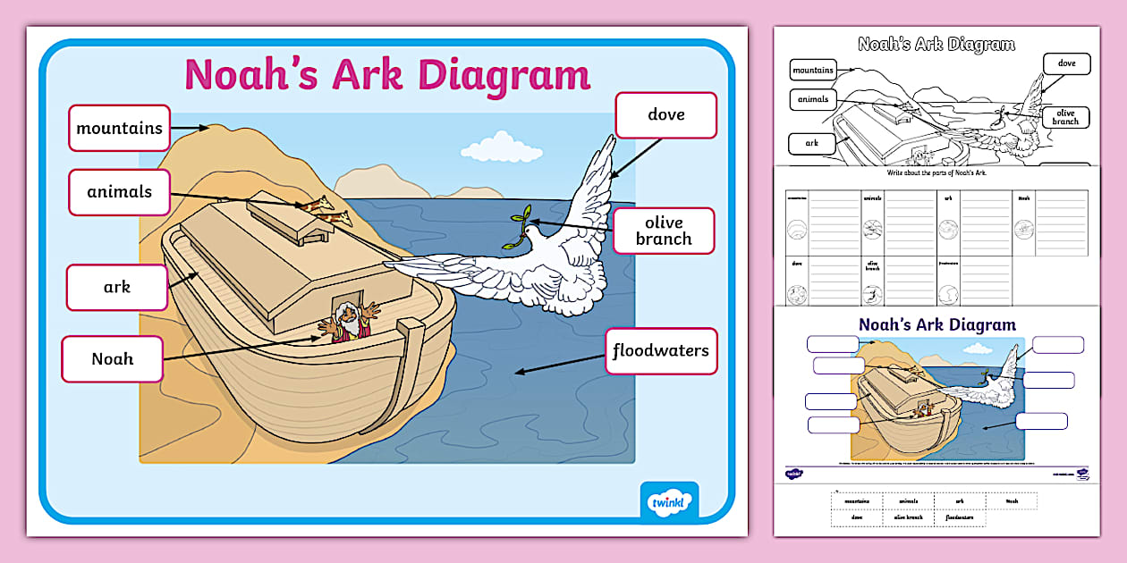 Noah's Ark Diagram Activity Pack (teacher made) - Twinkl
