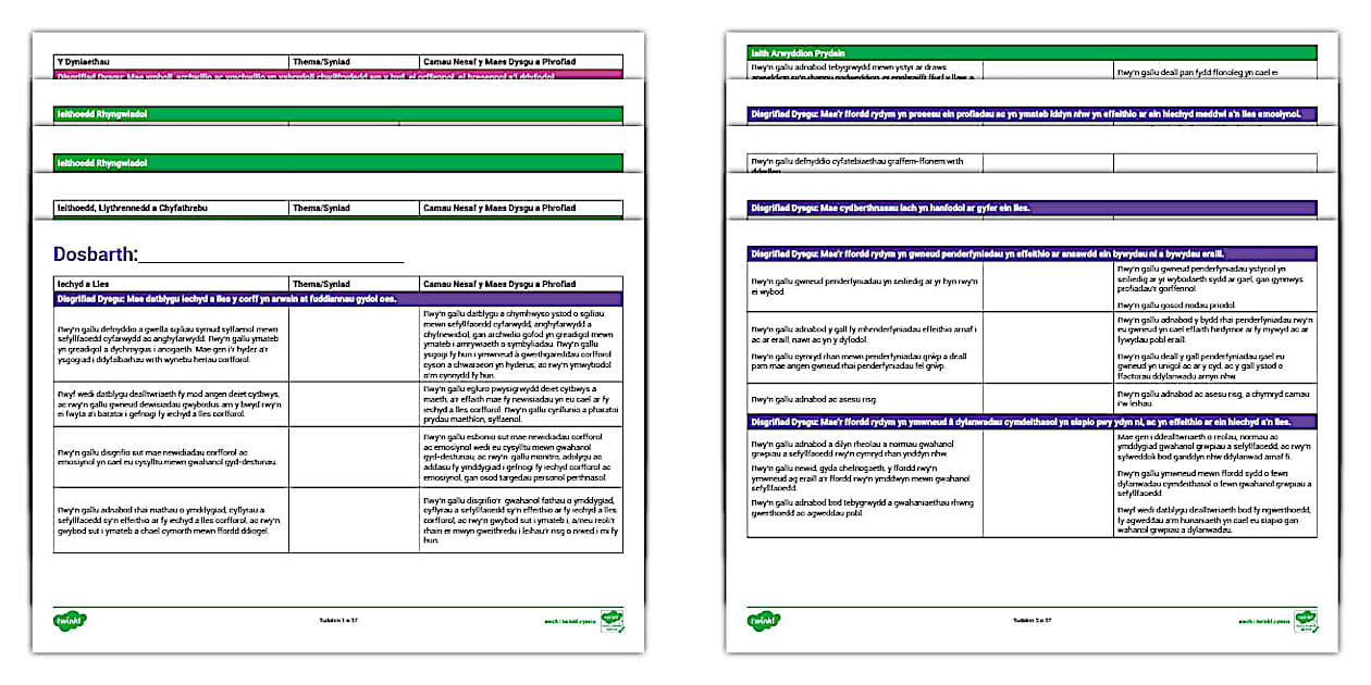 Pecyn Cynlluniau Gwag Meysydd Dysgu a Phrofiad Cam Cynnydd 2
