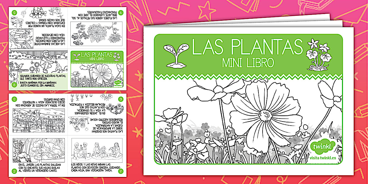Minilibro: Las plantas (Hecho por educadores) - Twinkl