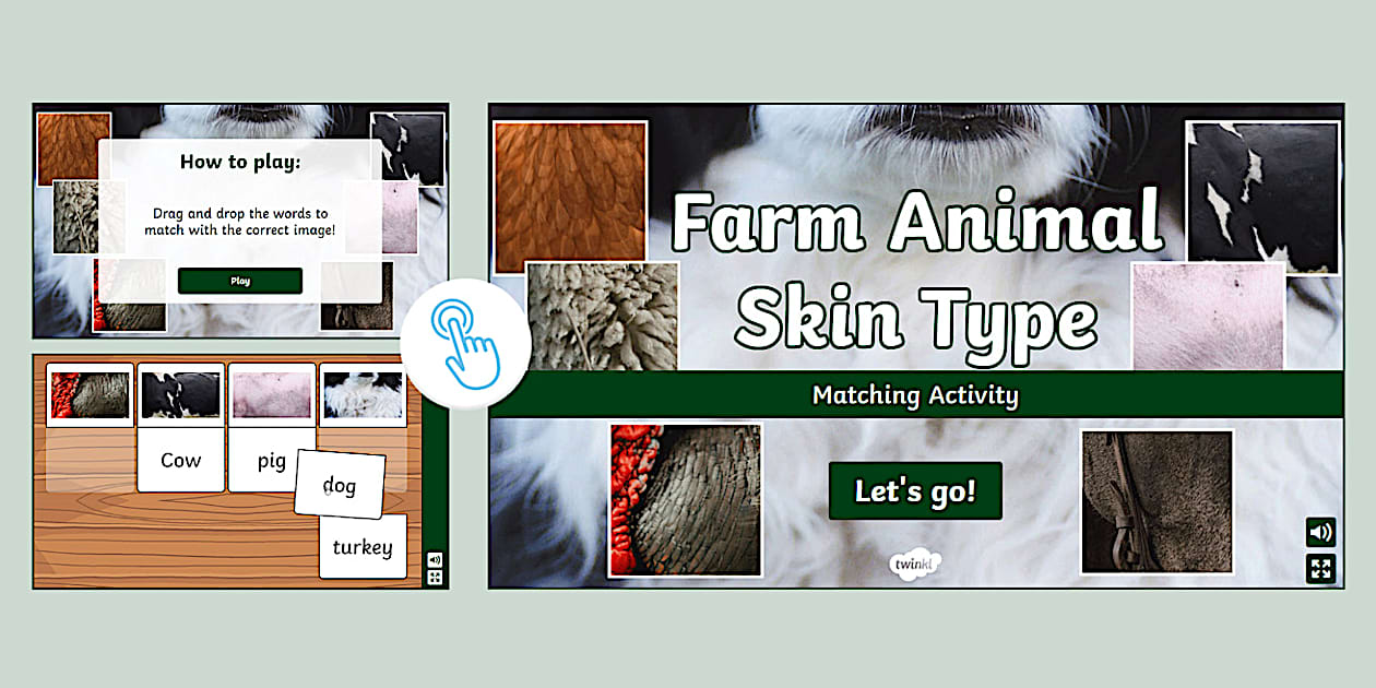 Farm Animal Skin Type Interactive Matching Activity - Twinkl