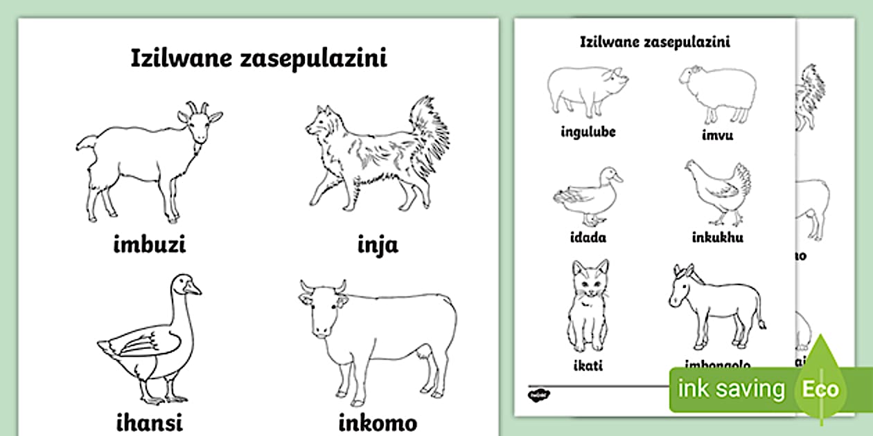Farm Animal Words Colouring Sheet - Zulu - Twinkl