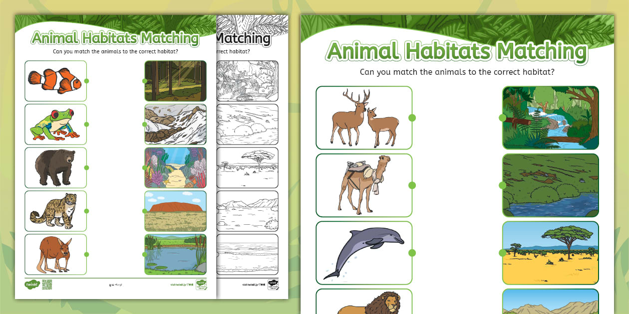 Animal Habitats Matching Worksheet (teacher made) - Twinkl