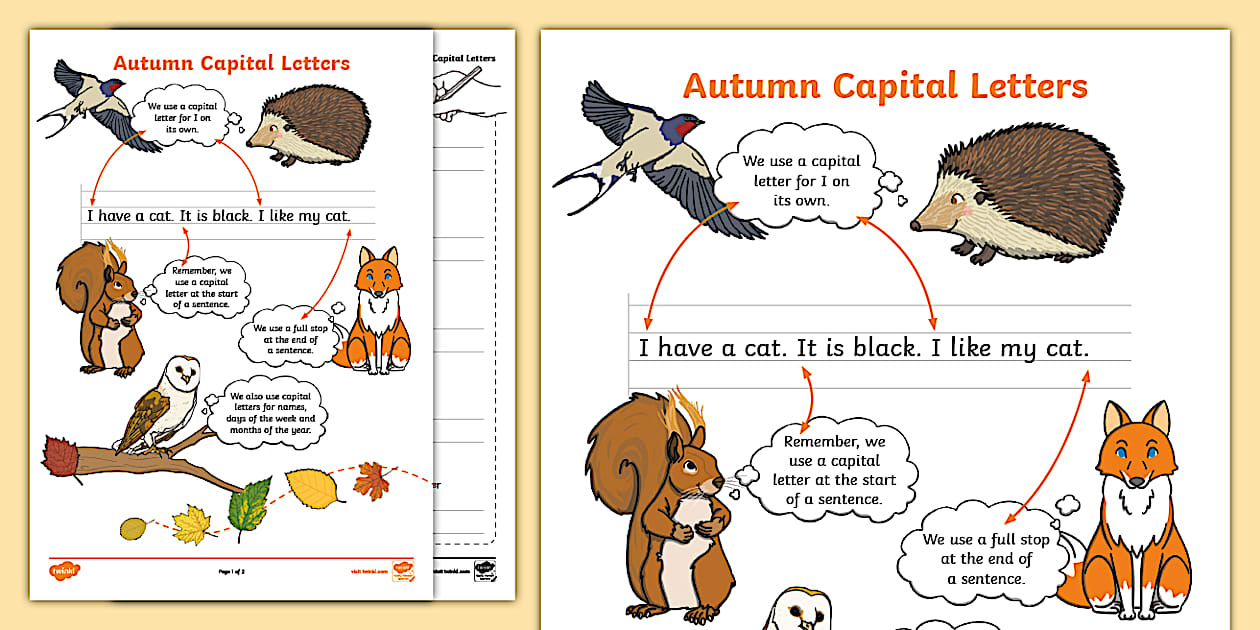 Autumn Punctuation Activity Sheet (teacher made) - Twinkl