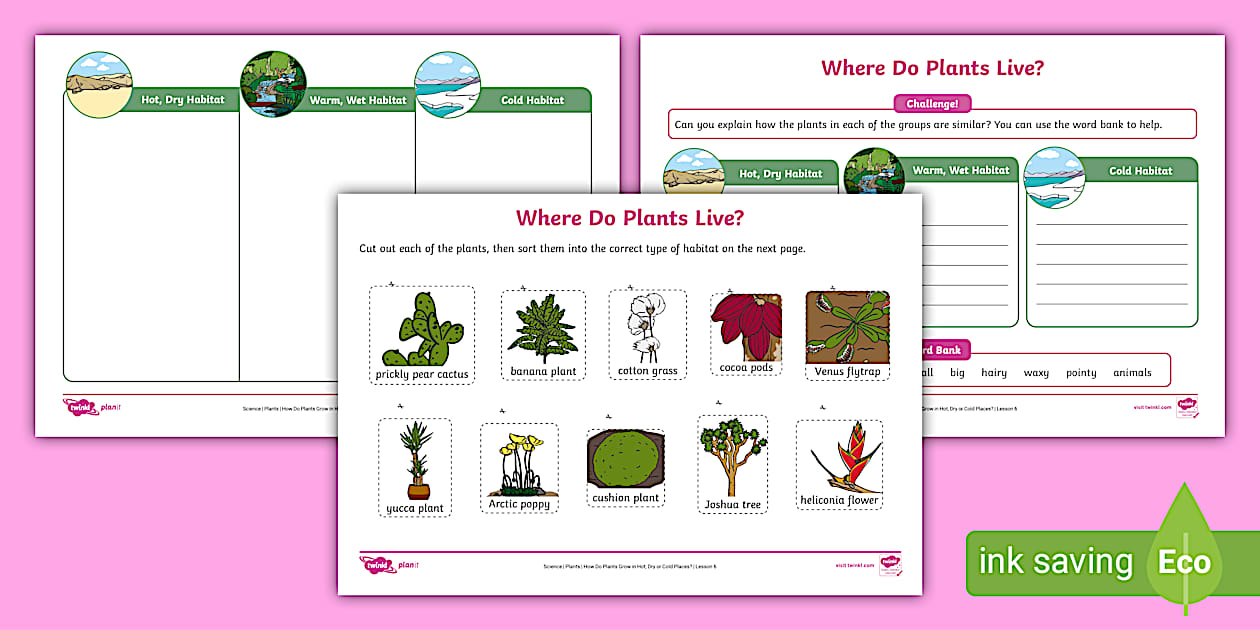 Y2 Where Do Plants Live? Activity Sheet (teacher made)