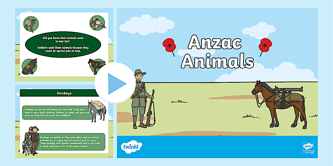 Anzac Animals PowerPoint Years 3-4 (teacher made) - Twinkl