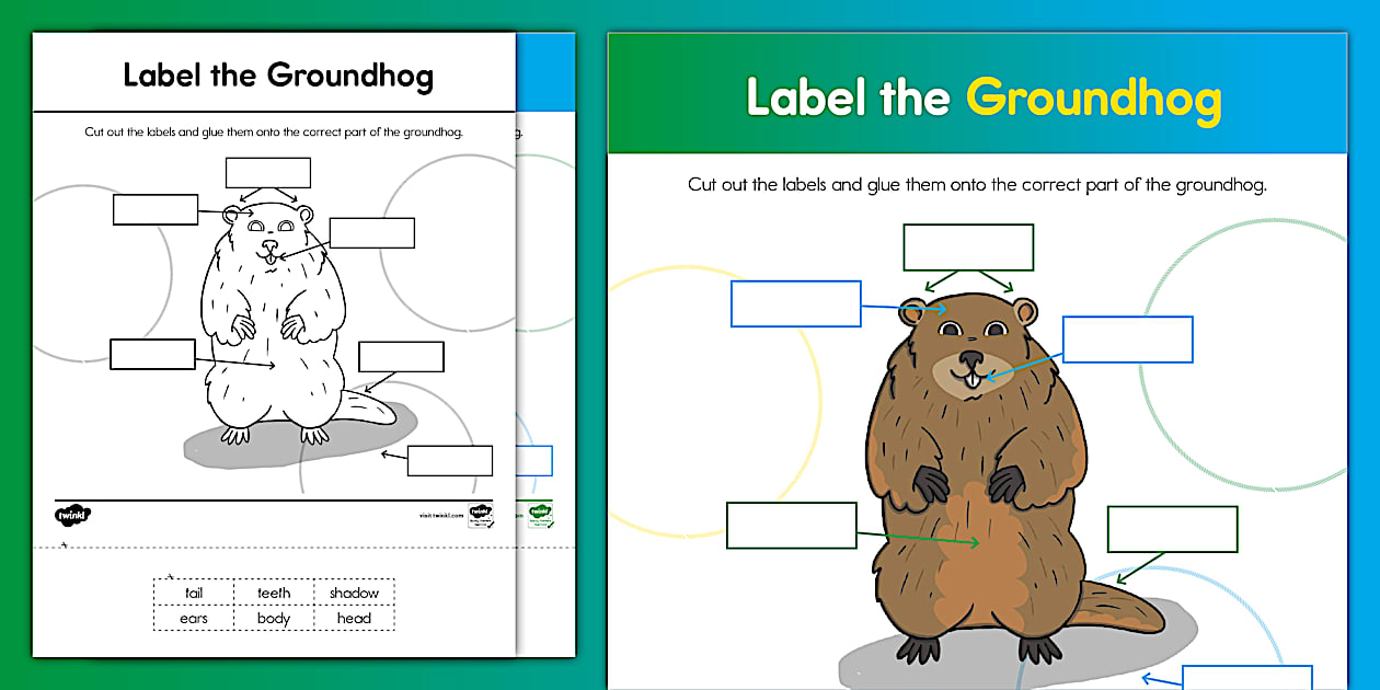Early Childhood Label the Groundhog Cut and Paste Worksheet
