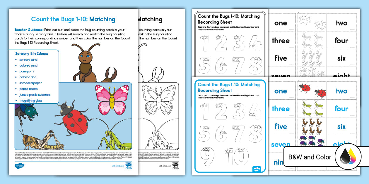 Count the Bugs One to 10 Sensory Bin Worksheet - Twinkl