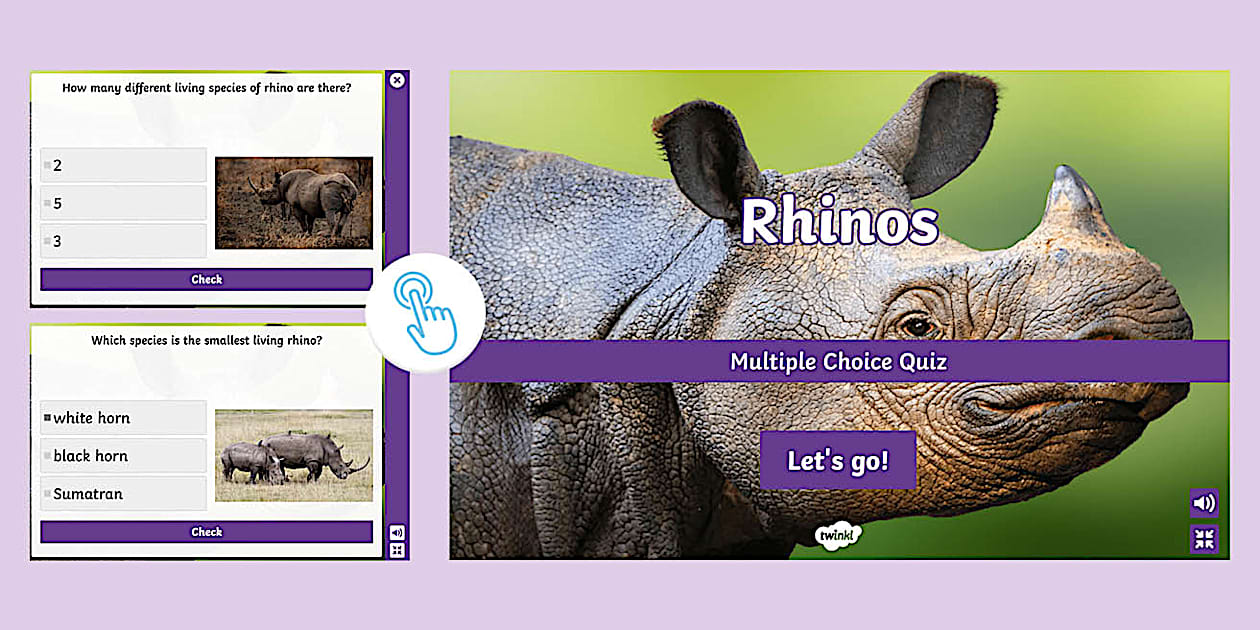 KS2 All About Rhinos Interactive Multiple Choice Quiz