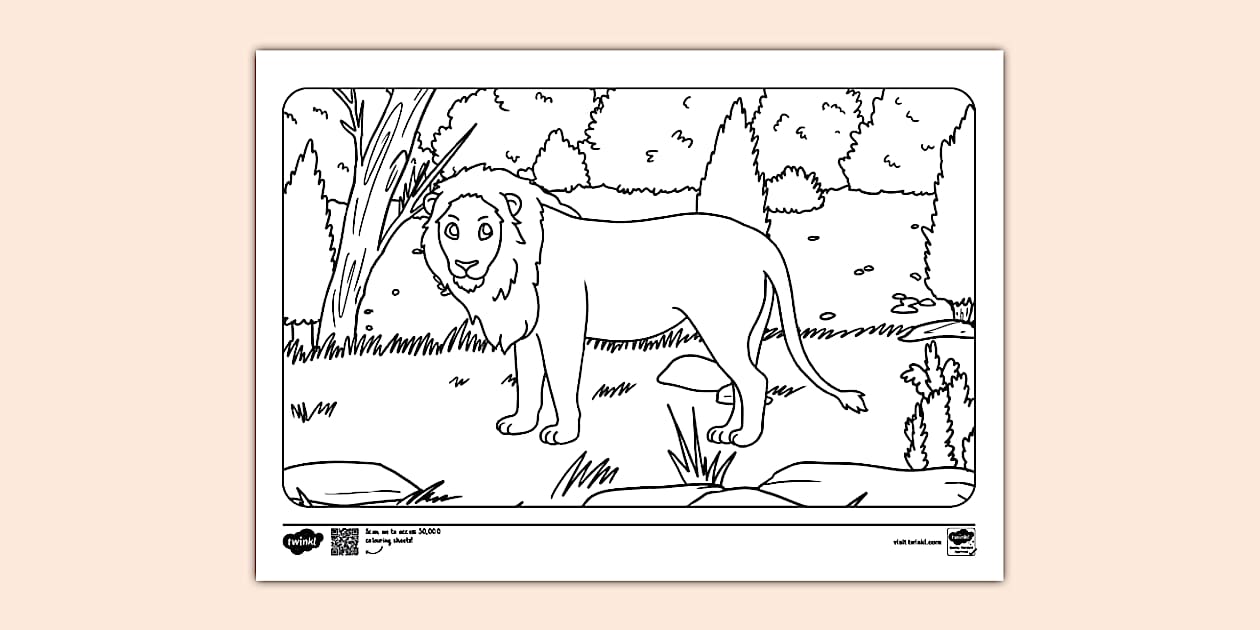 Lion Colouring Sheet - KS1 Creative Resources - Twinkl