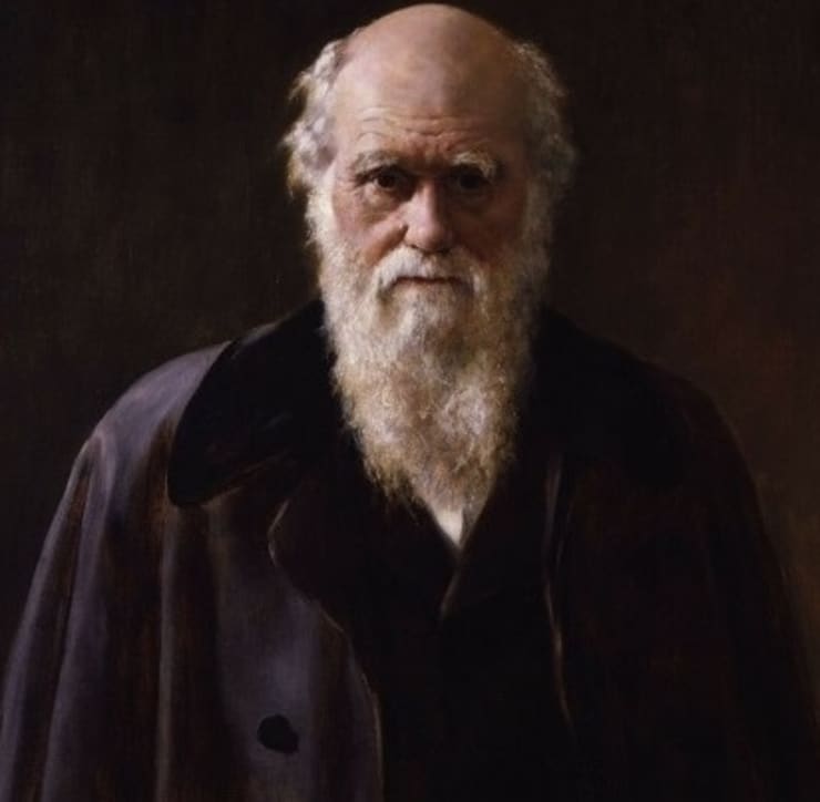 Journée Darwin - 12 février - Sciences - Twinkl