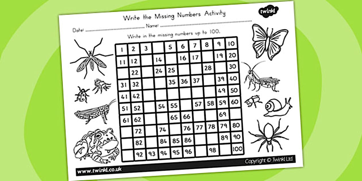 Minibeasts Missing Numbers Number Squares (teacher made)