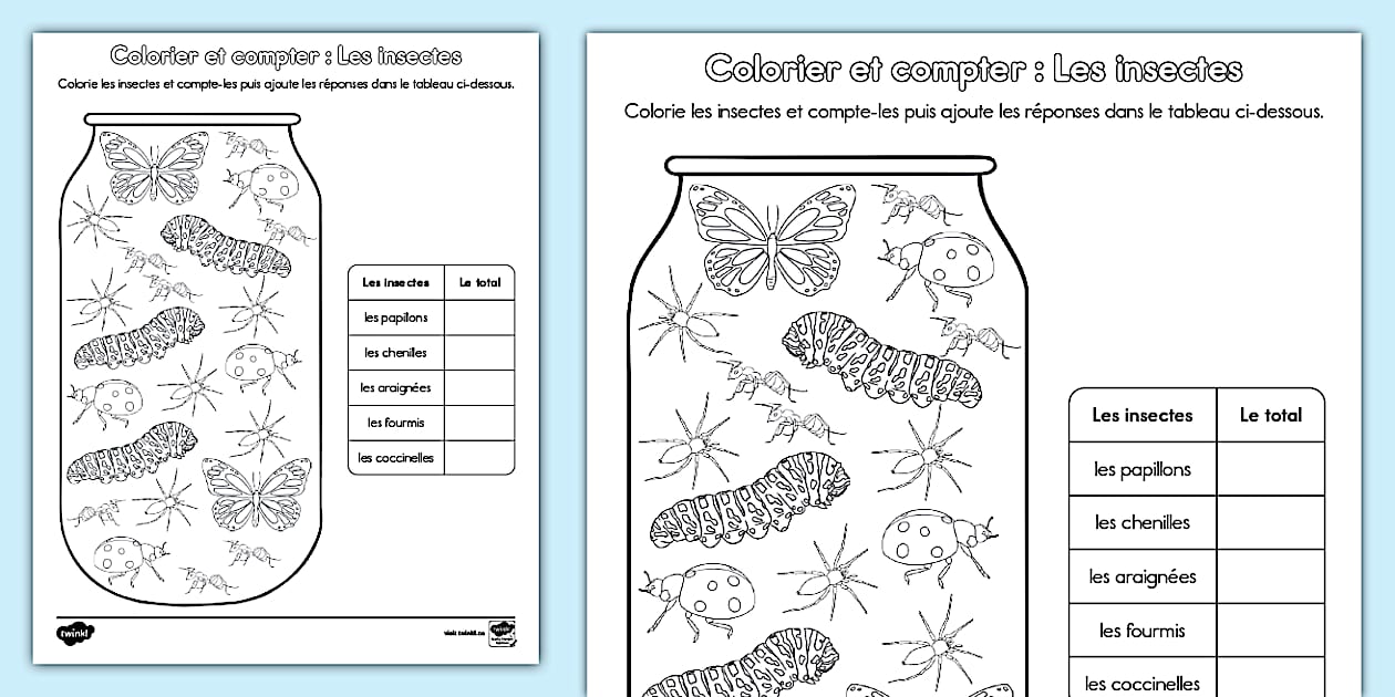Colorier et Compter : Les insectes (teacher made) - Twinkl
