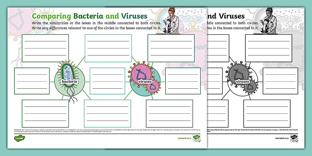 Bacteria and Virus Comparison Mind Map (teacher made)