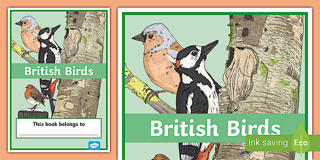 British Birds Book Cover (teacher made) - Twinkl