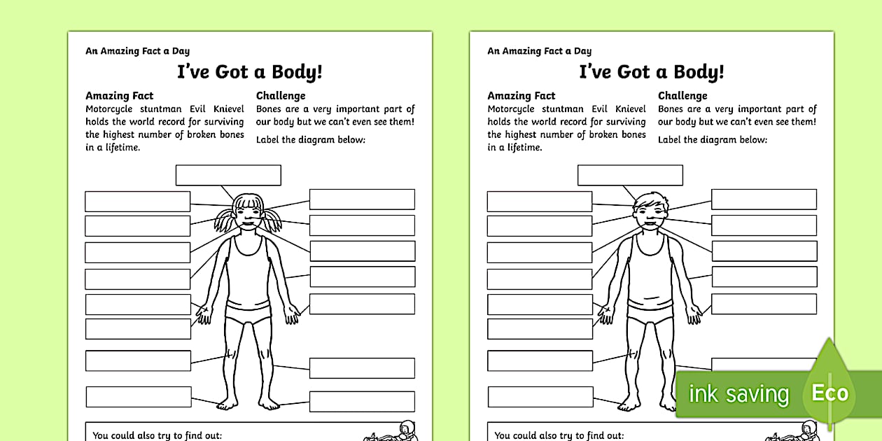 Editable I've Got a Body! Worksheet (teacher made) - Twinkl