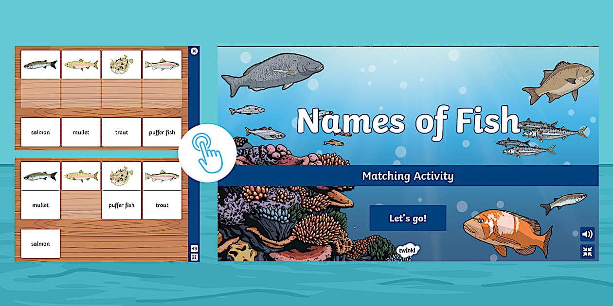 Names of Fish Interactive Matching Activity (Teacher-Made)