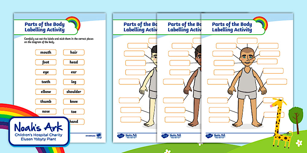 Parts of the Body Labelling Activity (teacher made) - Twinkl