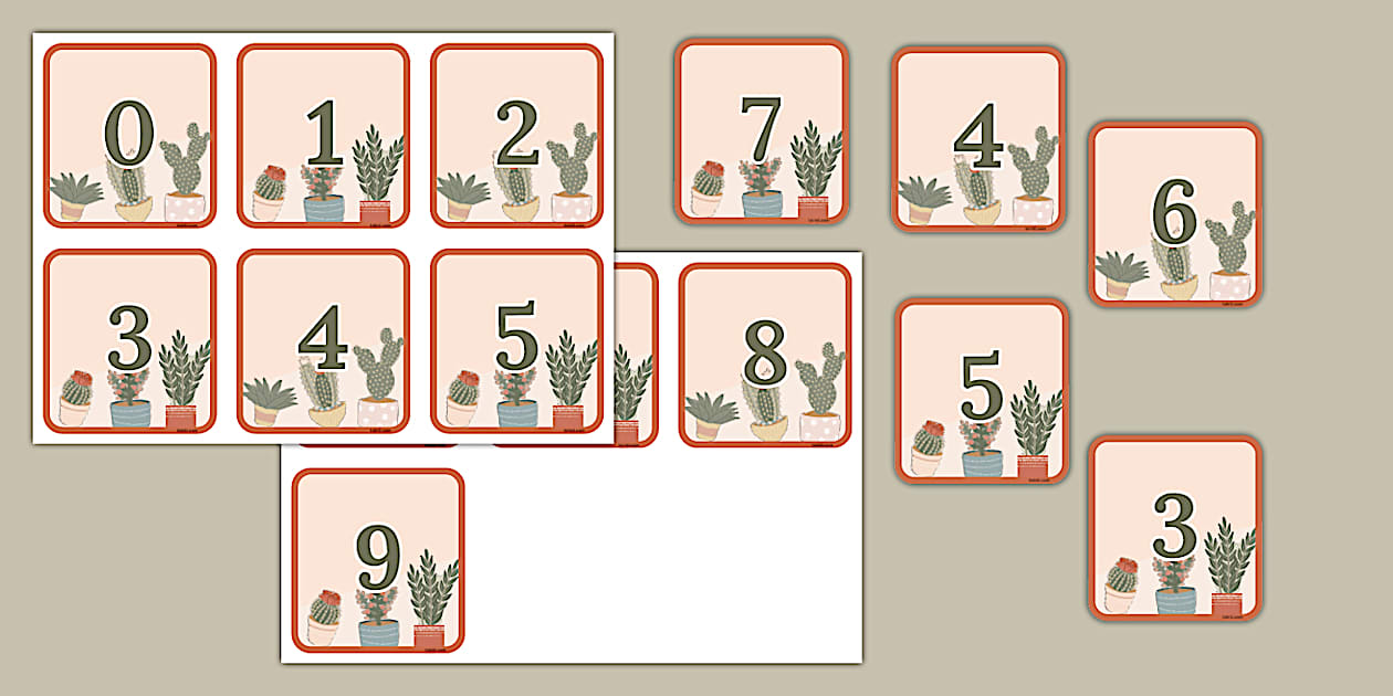 👉 Succulents-Themed 0-9 Number Cards (teacher made)