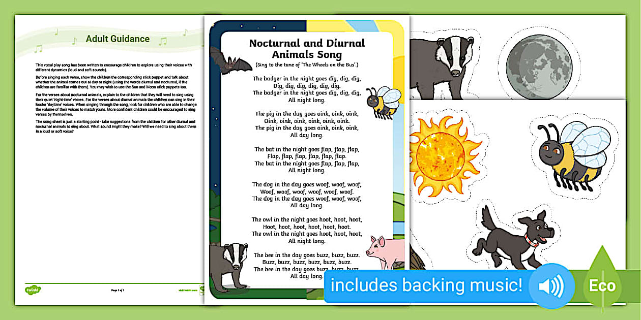 Nocturnal and Diurnal Animals Vocal Play Song Resource Pack