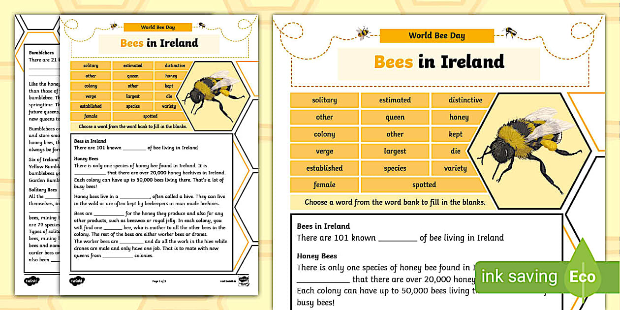 Bees In Ireland Cloze Procedure (Teacher-Made) - Twinkl