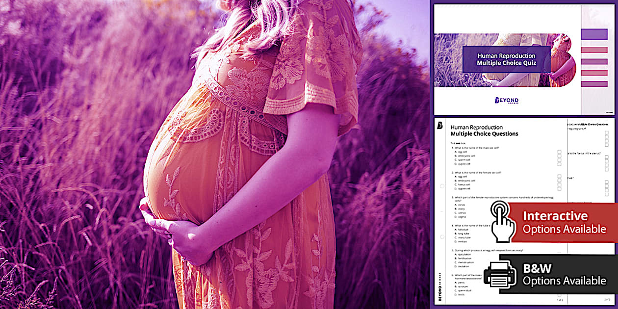 KS3 Human Reproduction Multiple Choice Question Bundle