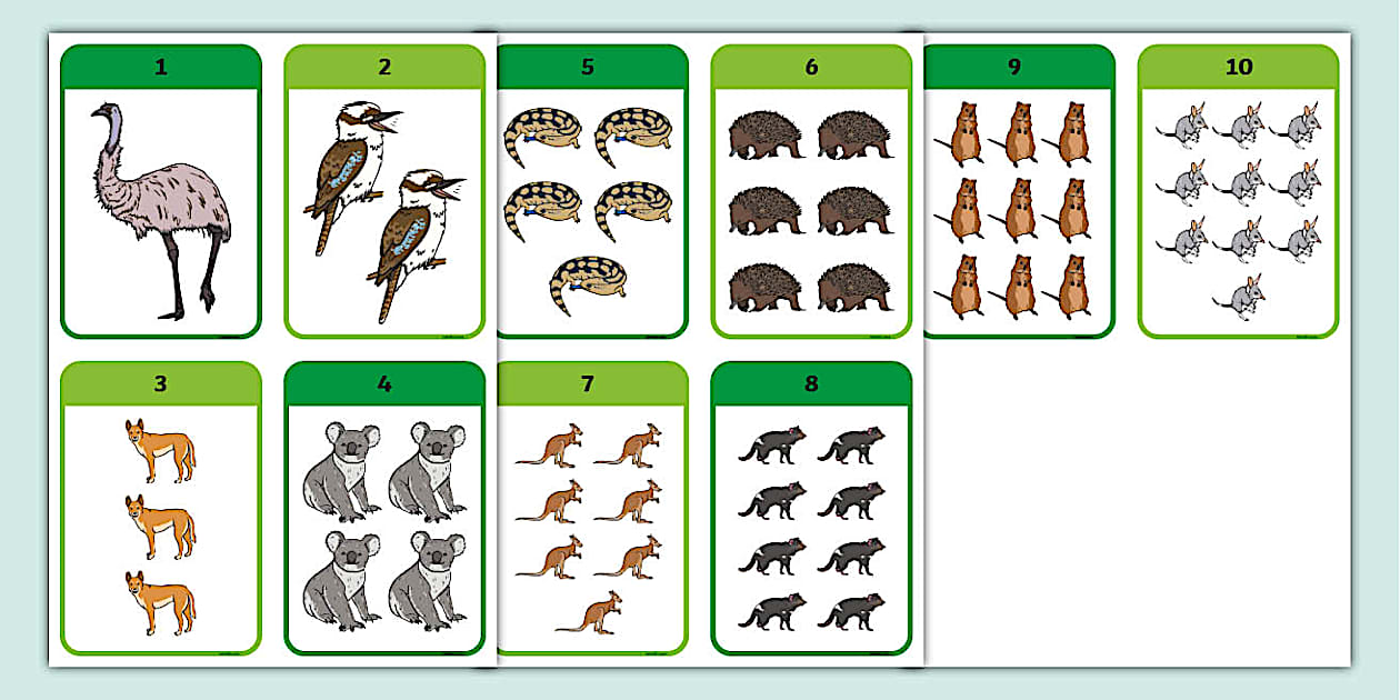 Australian Animal Numbers Flashcards (professor feito)