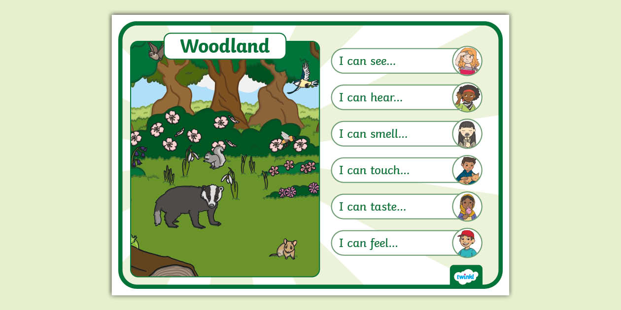 Woodland Senses Display Poster - Twinkl Primary - Twinkl