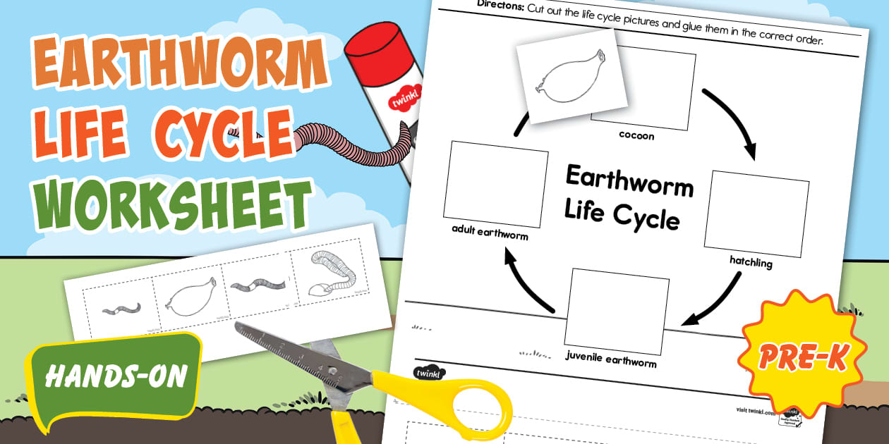 Earthworm Life Cycle Cut and Paste Worksheet for PreK-K