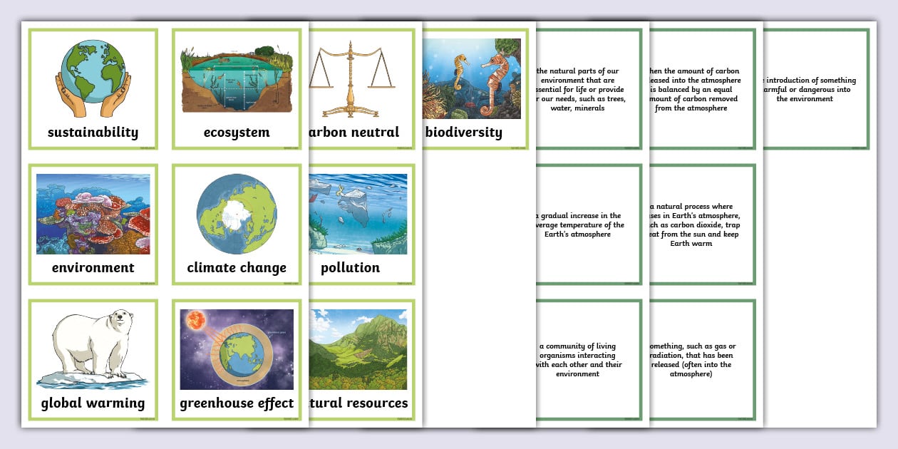 Sustainability Words and Definitions Cards (teacher made)