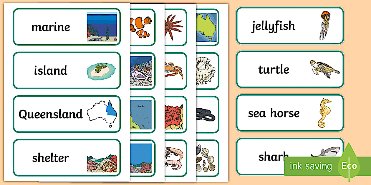 Editable Great Barrier Reef Word Cards (teacher made)
