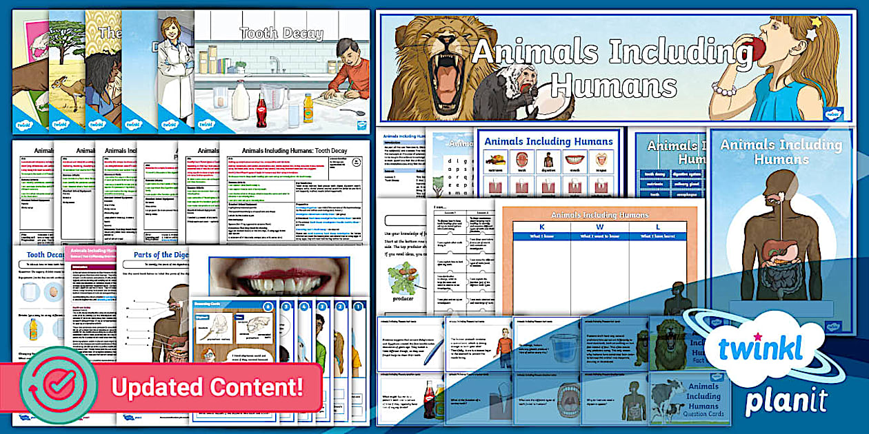 Science: Animals Including Humans Year 4 Unit Pack - Twinkl