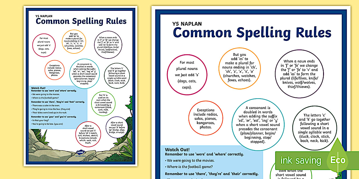 Common Spelling Rules For Kids Poster - Year 5 - NAPLAN