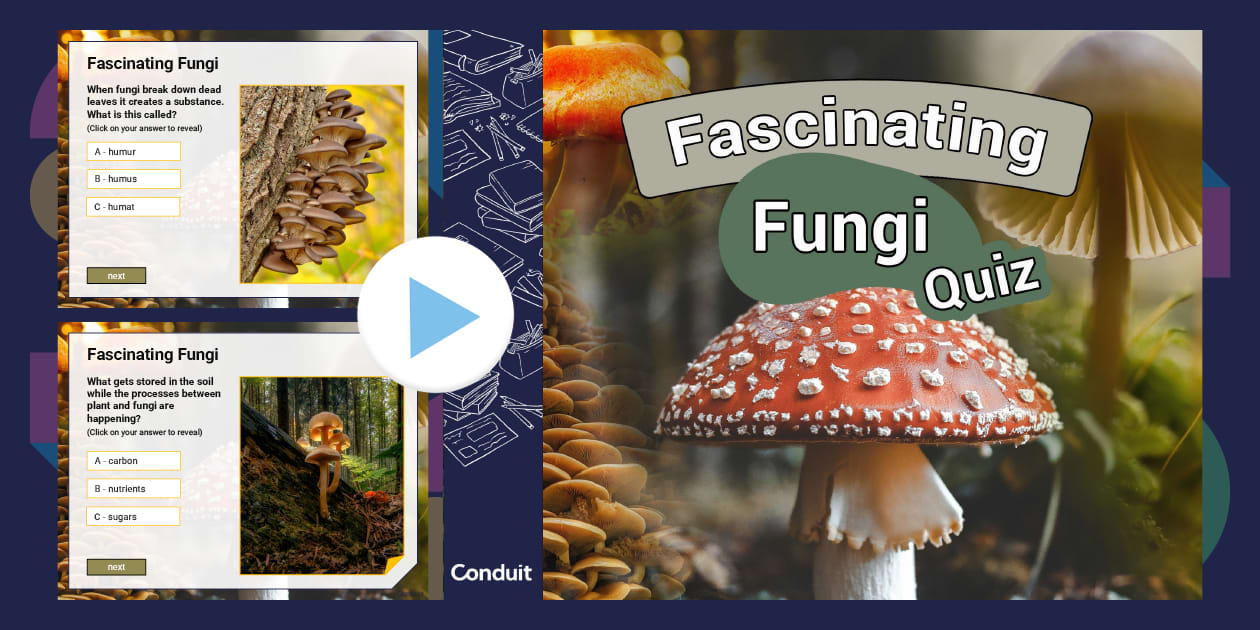 Fascinating Fungi PowerPoint Quiz (Teacher-Made) - Twinkl
